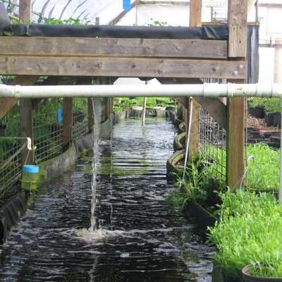 Aquaponics: The Definitive Guide to Start with Aquaponic Kits & Systems